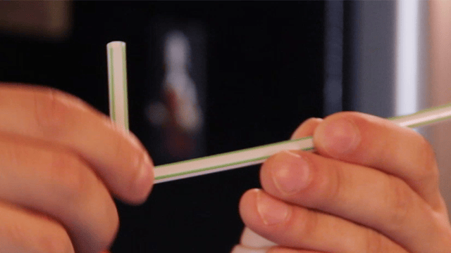 How to Make a Ping Pong Ball Levitate | Fun Science Experiment