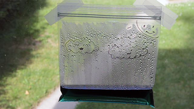 How to Make a Water Cycle in a Bag | STEAM Activity for Kids