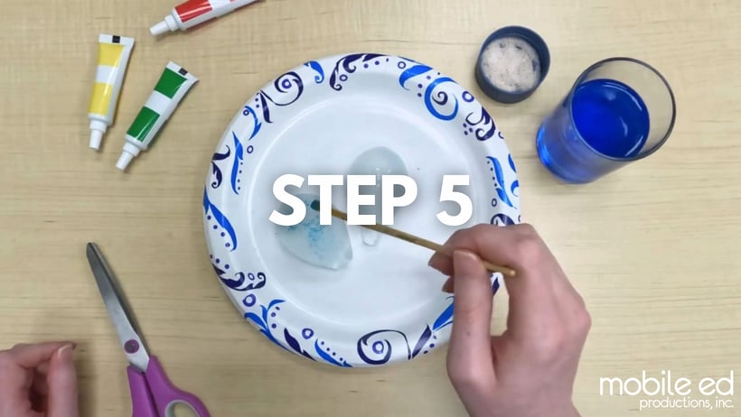 Winter Science Project: Melting Ice